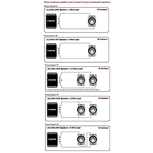 2) Rockford Fosgate P2D2-12 12" 1600Watt 2-Ohm Punch Series Car Audio Subwoofers