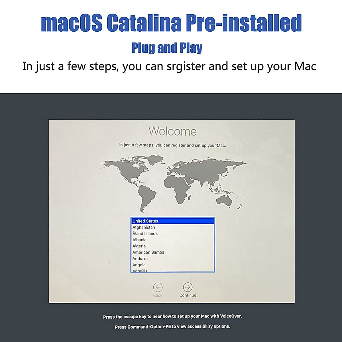 FLEANE FM17A 256GB PCIE 3.0x4 NVME 3D NAND TLC Flash SSD for MacBook Pro Retina A1708 (Late2016 - Mid2017), Included DIY Tools (256GB)