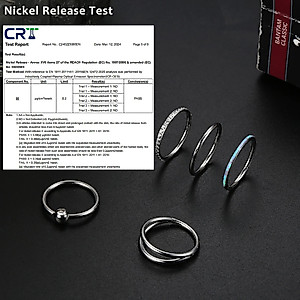 THUNARAZ 18G 16G Surgical Steel Nose Rings for Women CZ Opal Septum Hinged Clicker Segment Lip Rings Helix Cartilage Hoop Earring Rook Daith Seamless Body Piercing Rings 8mm 10mm