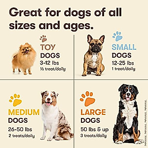 Pet 'n Shape Skin and Coat - Salmon Flavor 12 oz