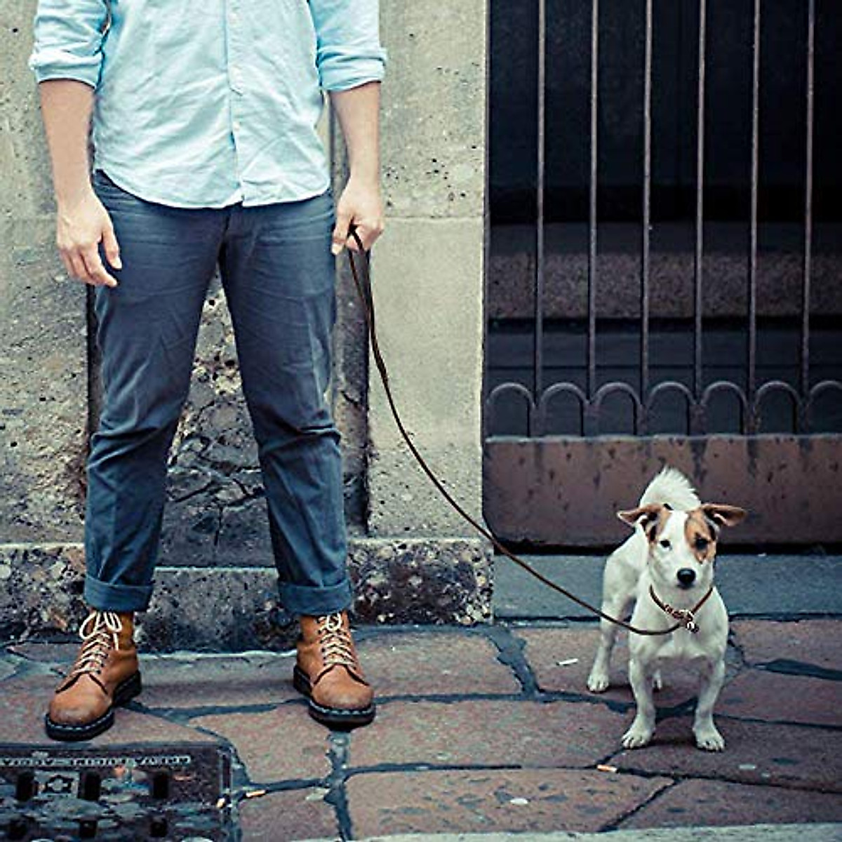 Real Leather Slip Dog Leash for Small Medium Dogs Puppies Lightweight Thin but Sturdy Adjustable Slip Lead Dog Leash Soft and Slim 5 ft x 1/5 inch (Small(5 ft x 1/5 inch))