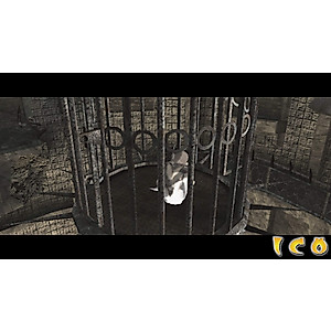 The ICO and Shadow of the Colossus Collection (Renewed)