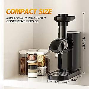 Cold Press Juicer, AAOBOSI Slow Masticating Juice Extractor for Fruit and Vegetable - Delicate Crushing Without Filtering - Juicer Machines with Quiet Motor/Reverse Function/Brush, Black