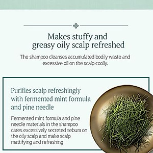 Ryo Scalp Deep Cleansing & Cooling Shampoo 500ml (16.9oz) Excess sebum care, Shampoo for smelly scalp, Fermented mint and other natural ingredients, Anti- Dandruff treatment