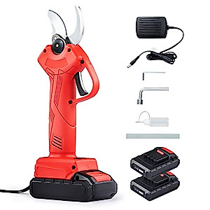 TERRADISE Cordless Electric Pruning Shears, Battery Operated Pruning Shears with 2 Rechargeable Lithium Batteries for Gardening, Professional Tree Branch Pruner, 1.2 Inch (30 mm) Cutting Diameter