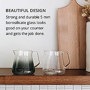 Fellow Mighty Small Glass Carafe - Manual Pour Over Coffee Beaker and Tea Steeper, Borosilicate Glass Decanter, 16.9 oz Clear Container