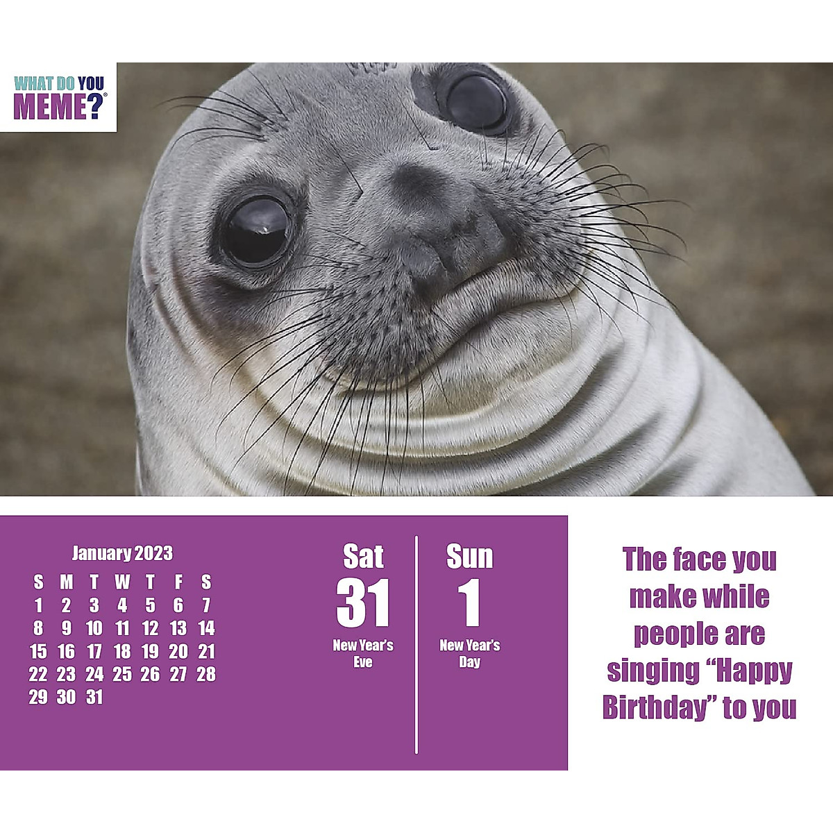 2023 What Do You Meme? Day-at-a-Time Box Calendar