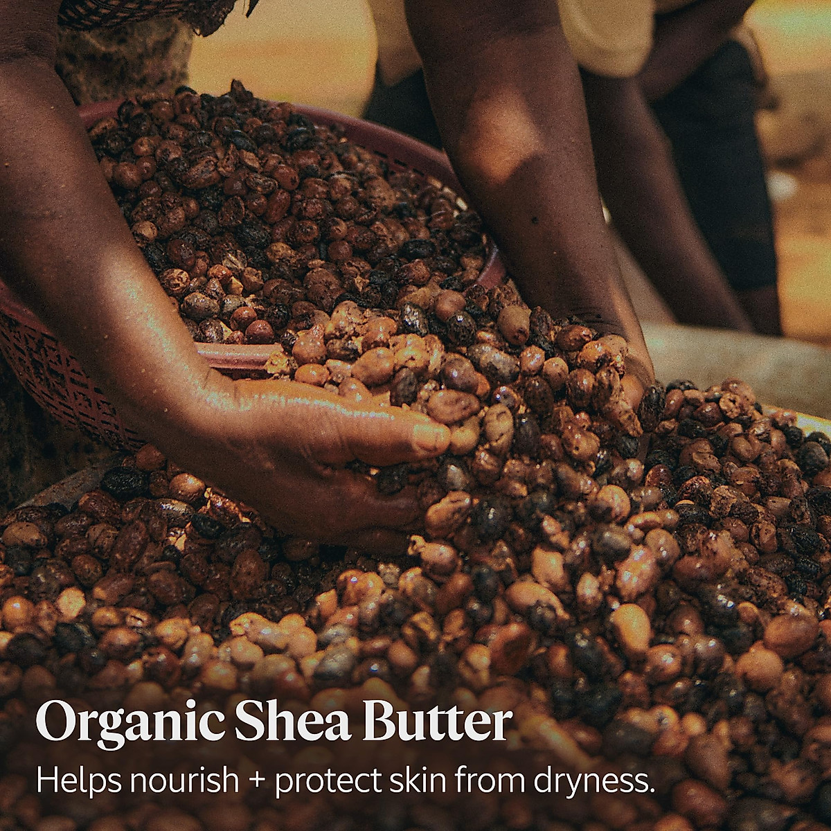 L'Occitane Shea Butter Hands & Body Verbena Extra-Gentle Moisturizing Lotion, 10.1 Fl Oz