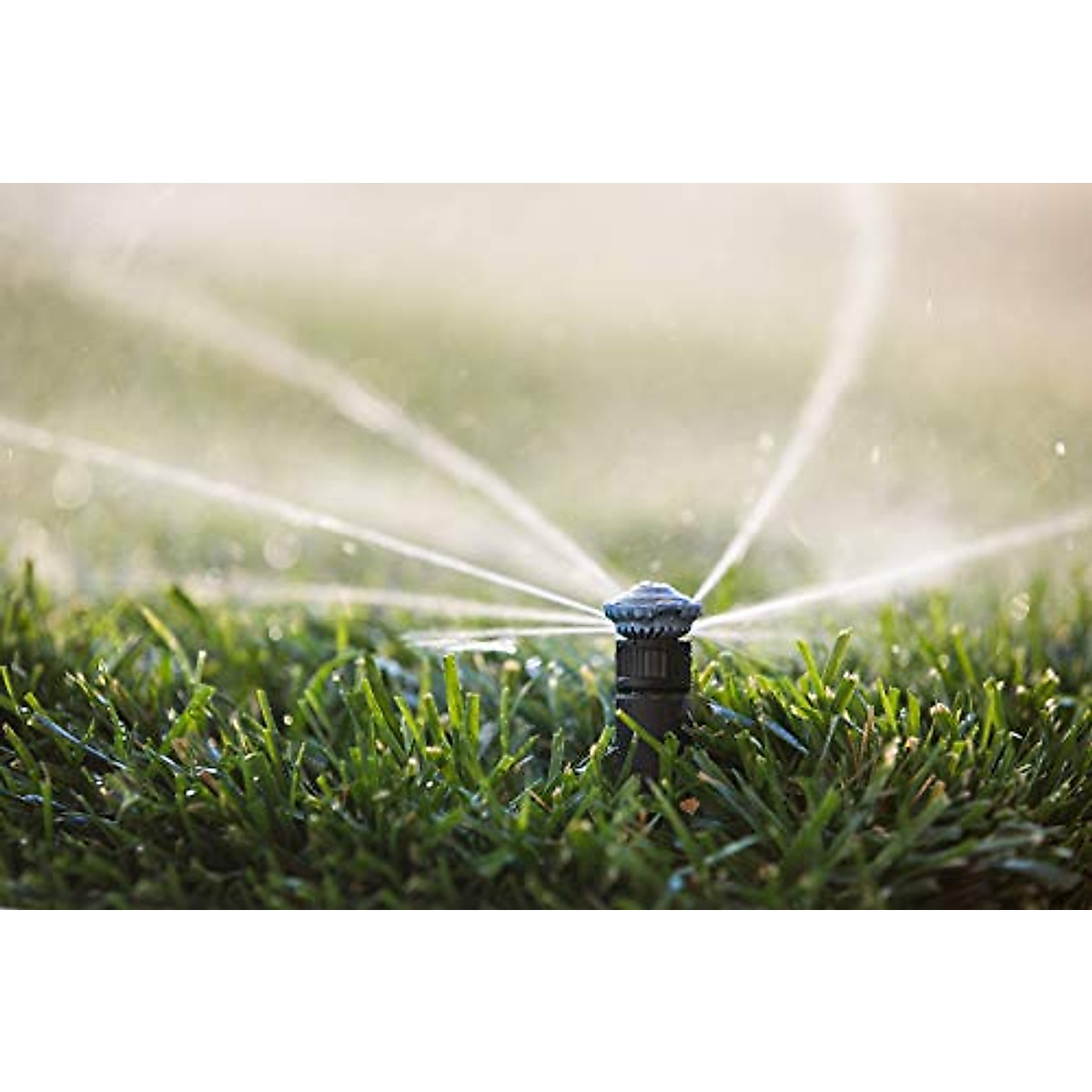 Rain Bird 14RNVAPRO High-Efficiency Pro Rotary Spray Nozzle, Hand Adjustable 45° - 270° Pattern, 8' - 14' Spray Distance