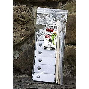 IGUANA GONE 16 OZ with Scent Strips