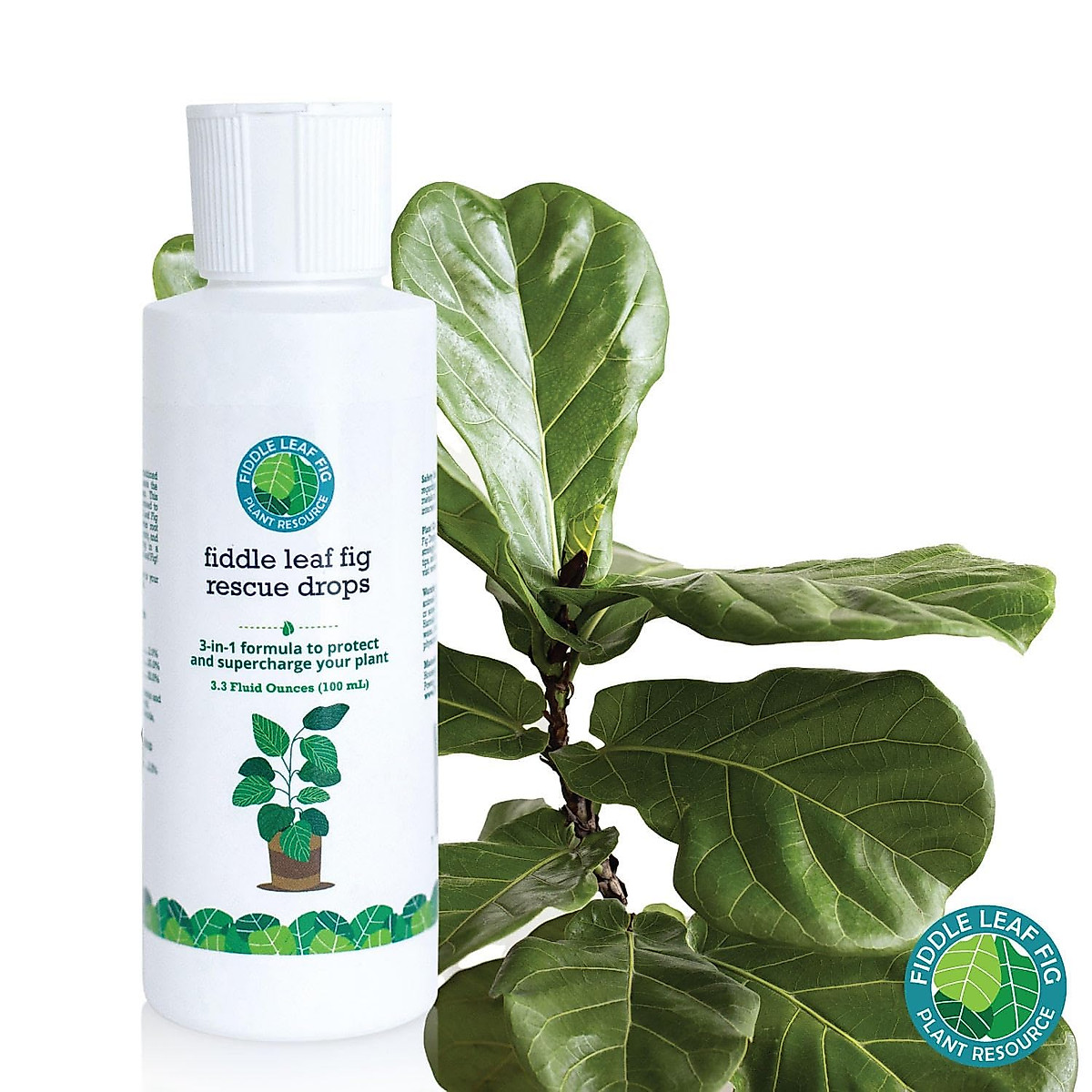 Fiddle Leaf Fig Rescue Drops by Fiddle Leaf Fig Plant Resource | 3-in-1 Liquid Fertilizer, Root Supplement & Immunity Booster (3.3 Fluid Ounces - 100ml)