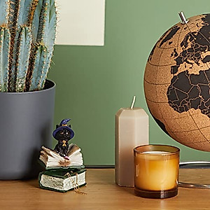 Nemesis Now Binx Small Witches Familiar Black Cat and Spellbook Figurine Box, Green, 11cm