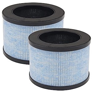 H13 Premium True HEPA Filter, DH-JH01 Upgrade HEPA Filter Replacement for Aroeve MK01 MK06, Pomoron and Kloudi DH-JH01, Intelabe EPI080/EP1080 & Elechomes EPI081/EP1081, 2 Pack