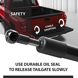 KitsPro Truck Tailgate Accessories Tailgate Assist for Dodge Ram 1500 All Models 2009-2018, Ram 1500 Classic Models 2019-2023, and Ram 2500 3500 All Models 2010-2023 Tailgate Damping Strut, Pack of 1