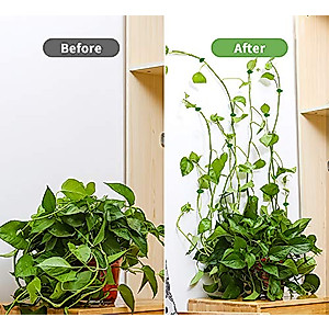 Plant Climbing Wall Fixture Clips 50 Pcs,Self-Adhesive Hook Vines Traction Invisible Holder Supporting Wire Fixing,Green Leaf Simulation for Garden Wall Clip