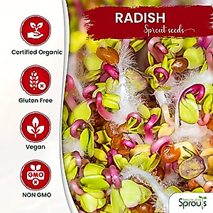Nature Jims Radish Sprout Seeds – 16 Ounce Organic Sprouting Seeds – Non-GMO Premium Radish Seeds – Resealable Bag for Longer Freshness – Rich in Vitamins, Minerals, Fiber