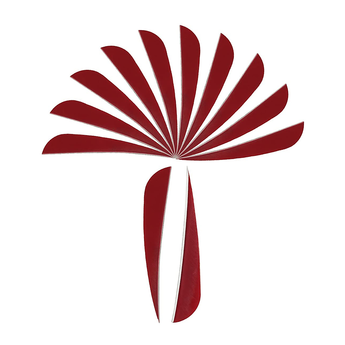 THREE ARCHERS 40 PK Arrow Feather Fletching 4” Nature Turkey Feather for Archery DIY Arrows (red)