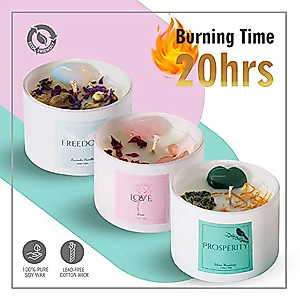 Crystals Galore 4U Healing Crystal Candles - Organic Candles with Pink Rose Quartz, Opal, & Green Aventurine Rose Scent, Lavender Vanilla Scent, Silver Mountain Scent Gift Set 20hrs Burning Time