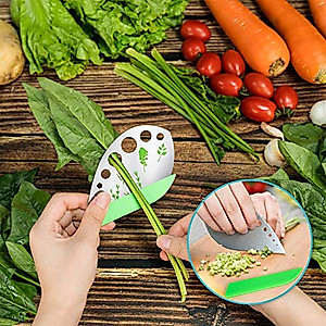 VIBIRIT Herb Scissors Leaf Herb Stripper, Stainless Steel 5 Blade Kitchen Scissors,Peelers for Kitchen,for Chopping Chive, Vegetables, Salad,Collard Greens, Parsley, Rosemary Herb As Christmas gifts