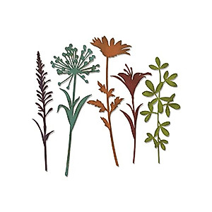Sizzix Thinlits Die Set , Wildflower Stems #2 by Tim Holtz, 5 Pack, One Size, Multicolor 5 Piece