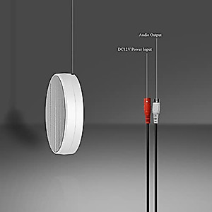 SiZHENG COTTS30 CCTV Microphone Noise Reduction Home Microphone Exterior Security Recording Pickup -35dB Outdoor Microphone RCA Female for CCTV Security Camera System DVR Sound（AV Female）