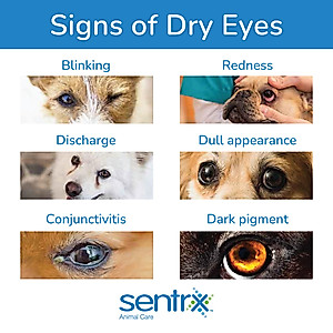 Sentrx Eye Lube Pro Plus + Hyaluron for Dogs, Cats, Horses, Dry Eye Relief, 20g, Pack of 6