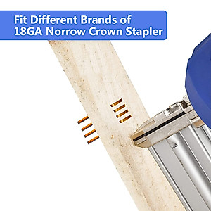 SimCos 18 Gauge 1/4" Narrow Crown Staples (1-1/2",1-1/4" 1", 3/4", 1/2"), Galvanized Assorted Sizes for 18 GA Pneumatic or Electric Stapler or Staple Gun,Project Pack (Assembly 3000)