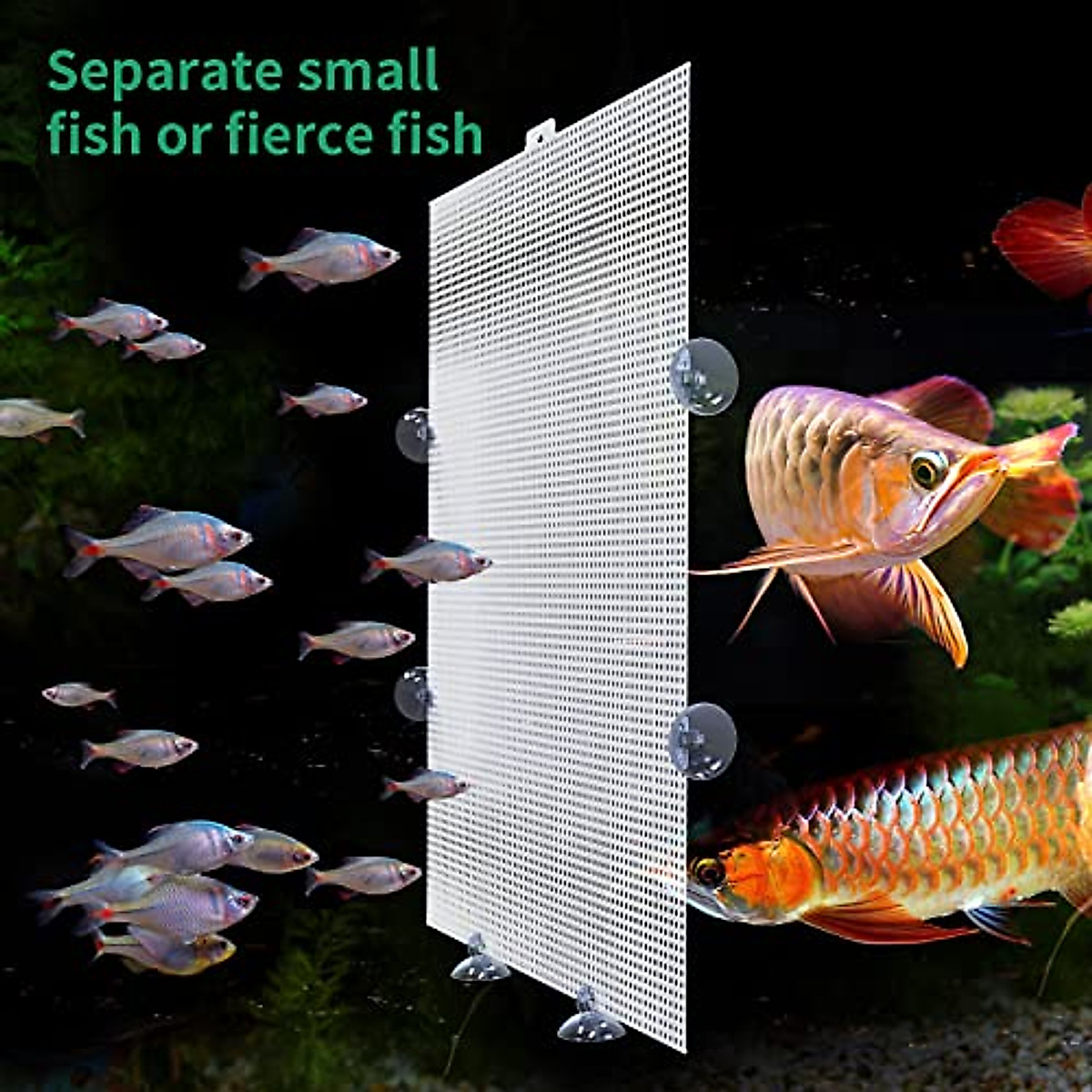 2 Pack Fish Tank Divider, Plastic Grid Cuttable Grid Plate Fish Separator with 12 Suction Cups DIY Designed Clear Easy to Bent 10 * 13in