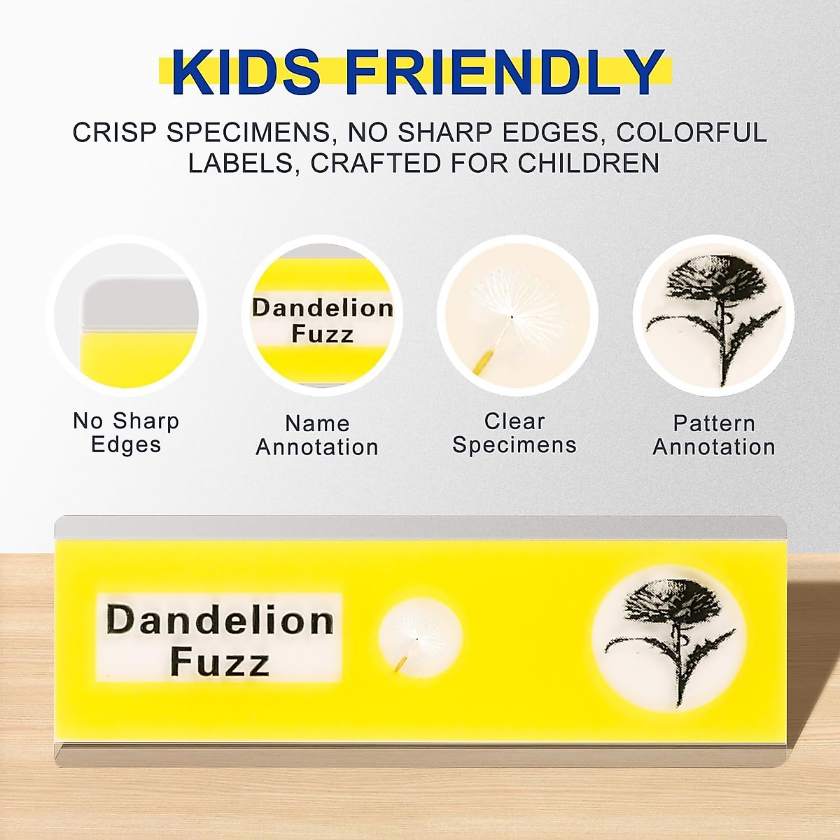 Jiusion 48Pcs Prepared Microscope Slides Specimen Animals Insects Plants Flowers Sample Biological Specimen, Stereo Microscope Slide for Kids Children Students Enlighten Education