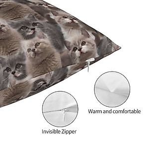 Bed Pillow Protector Zippered Camo-Kitty-Cute-Shorthair-Cat Soft Pillow Case Cover 20x30 Inches
