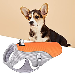 Pet Clothing Dog Cooling Vest Harness Evaporation Coat Reduce Body Heat for Hiking Orange L