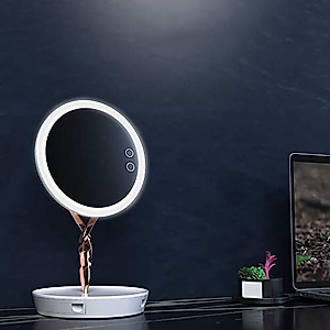 LIMEI-ZEN Lighted Makeup Mirror, 22 LED Cosmetic Mirror Touch Screen Dimming 45° Rotation with Stand Charging Vanity Mirror USB Charging with Lithium Battery Mirrors