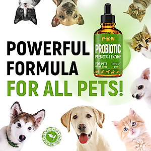 Cat & Dog Vitamins and Supplements | Probiotics for Cats | Multivitamin for Dogs | Dog Probiotic | Cat Vitamins for Indoor Cats | Cat Probiotic | Bundle