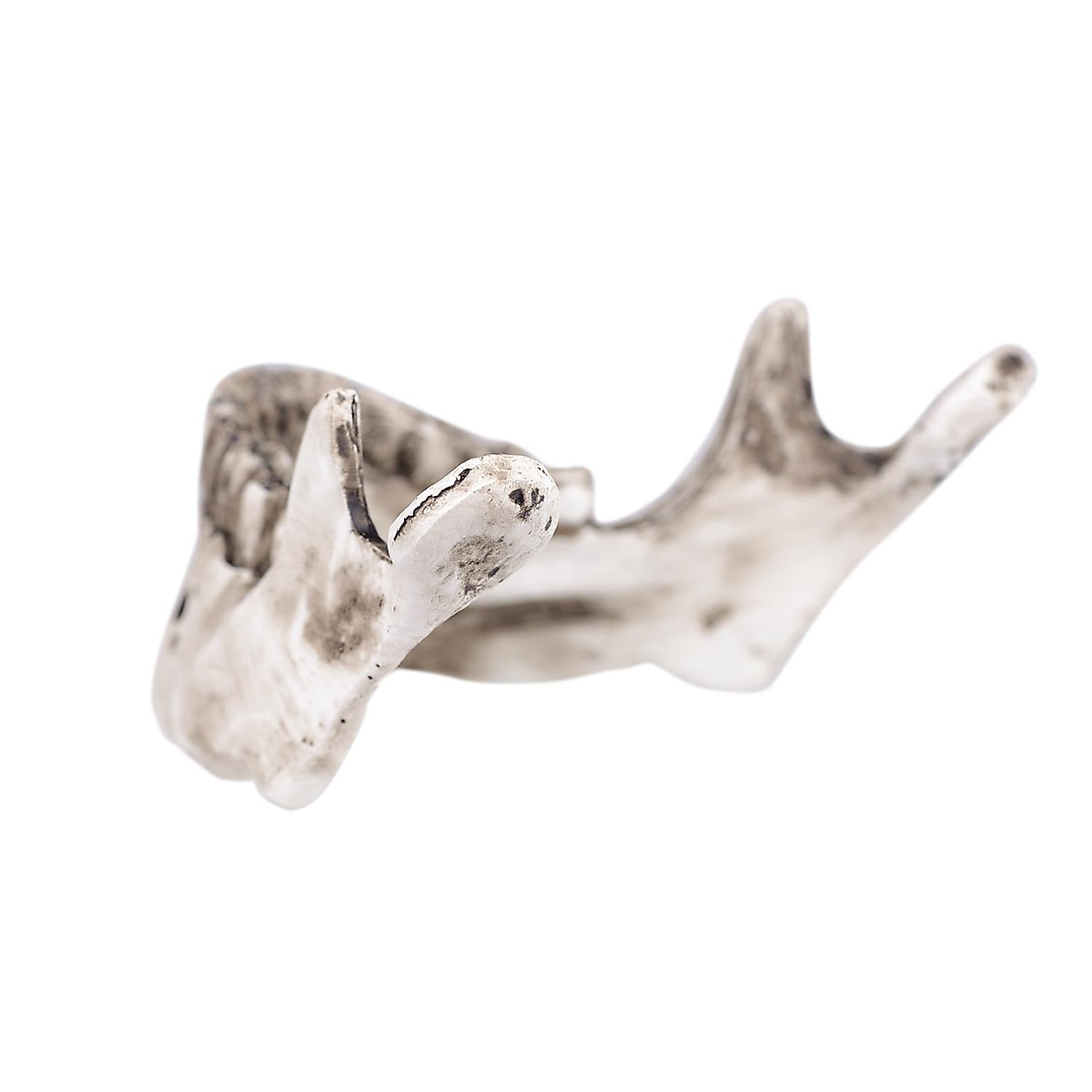 Aries Outlets Retro Human Skull Replica Resin Anatomical Model Medical Lifesize Realistic 1:1