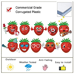 Large Size Strawberry Party Decorations - Fruit Themed Party Yard Signs - 10Pcs Strawberry Decor for Garden/Patio/Lawn/Festive Atmosphere/Birthday Themed Party.
