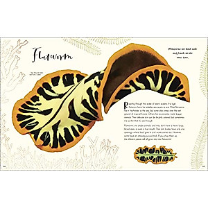 The Wonders of Nature (DK Children's Anthologies)