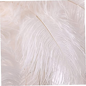 Naisicore Feathers Table Lamps, 18.9inch Ostrich Feather Night Light, USB/Battery Powered Bedside Lamps, Desktop Atmosphere Lights Gift for Mother, Girlfriend Wedding Decoration (Pink)