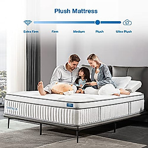 Queen Mattress,Lechepus 14 Inch Hybrid Memory Foam Mattresses with Individual Pocket Springs,Mattress in Box,Plush Comfortable Mattress for Cool Sleep & Back Pain Relief,CertiPUR-US Certified