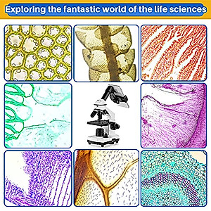BEBANG 100X-2000X Microscope for Kids Students Adults, with Microscope Slides, Professional Biological Microscope Kit for Kids Students School Laboratory Education