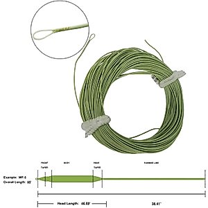 Aventik Trout Fly Fishing Line Weight Forward Floating Fly Line with Exposed Loop Easy Line ID(1pcs-Green,6F)
