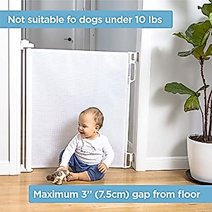 Perma Child Safety Indoor/Outdoor Retractable Baby Gate 33" Tall, Extends to 71" Wide, White