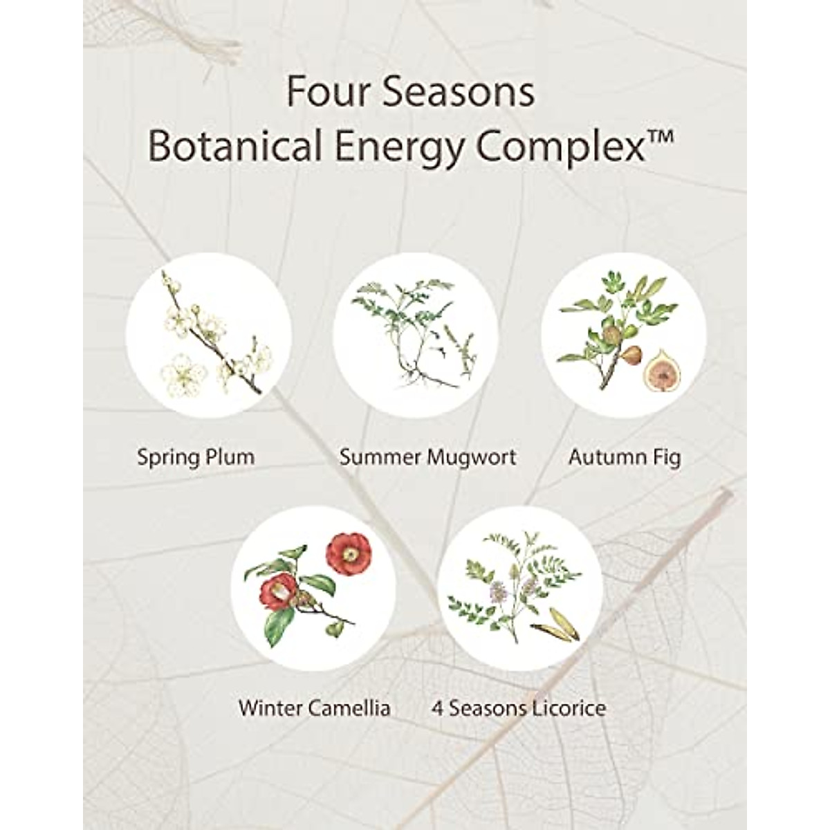 Sooryehan THE SAGA OF SOO BOTANICAL ENERGY - Korean Skincare Gift Set, Botanical Energy Boosting Toner, Balancing Moisturizer, Cream, Foam Cleanser (360 ml / 12.17 Fl Oz) by LG BEAUTY