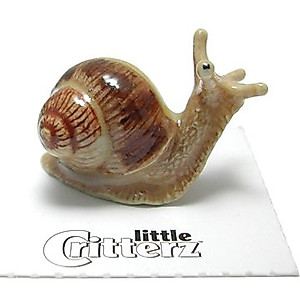 Little Critterz "Helix" Garden Snail LC532