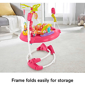Fisher-Price Baby Bouncer Pink Petals Jumperoo Activity Center with Music Lights Sounds and Developmental Toys