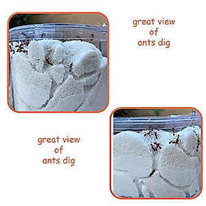 NAVADEAL Sand Ant Farm with Connecting Tubes, Habitat Educational & Learning Science Kit Toy for Kids & Adults - Allows Study of Ecosystem, Behavior of Ants, Explore The World at Home and School