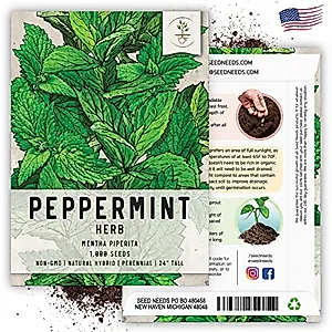 Seed Needs, Peppermint Seeds - 1,000 Heirloom Seeds for Planting Mentha piperita - Non-GMO, & Untreated - Great for Pots & Containers (2 Packs)
