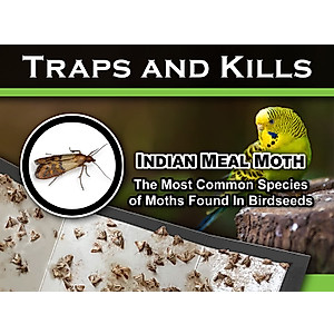 MaxGuard Birdseed Pantry Moth Traps (10 XL Pack) Extra Strength Pheromones | Non-Toxic Extra Large Sticky Glue Trap for Bird Seed Storage Areas | Attract, Trap and Kill Moths