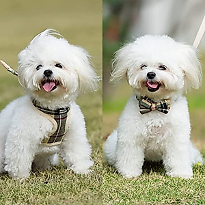 MINA&CO Dog Harness for Small Dogs No Pull - Adjustable Mesh Puppy Harness and Leash Set, Harness Medium Size Dog, Puppy Collar and Leash Set with Bandana & Poop Bag, Dog Vest Harness (Beige, XSmall)