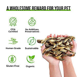 Happy Pet Happy Planet Dehydrated Walleye Fish Dog Treats Bundle - Grain-Free, High Protein, Human Grade, Natural, Supports Skin, Coat & Dental