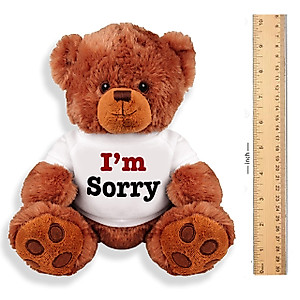 I Am Sorry Teddy Bear - Cute and Cuddly : Funny Teddy Bear Couple Gift : Romantic Medium Teddy Bear Stuffed Animal